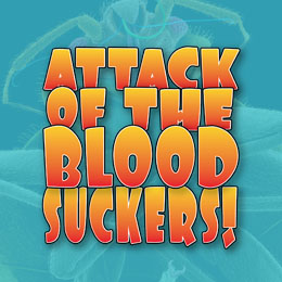 Sullivan Brothers Iowa Veterans Museum - Iowa Museum - Grout Museum ...