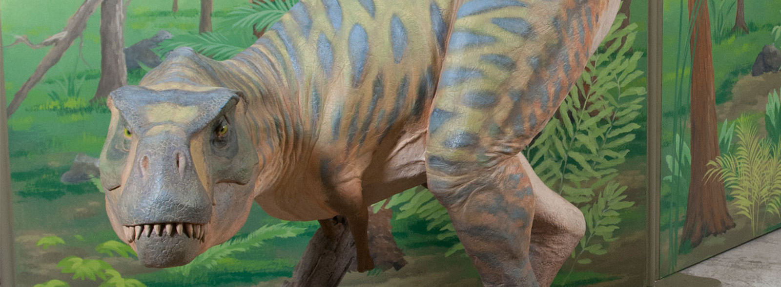 Grout Museum District | Waterloo, Iowa