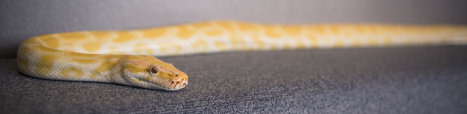 Bluedorn Science Imaginarium - Iowa Museum - Grout Museum District